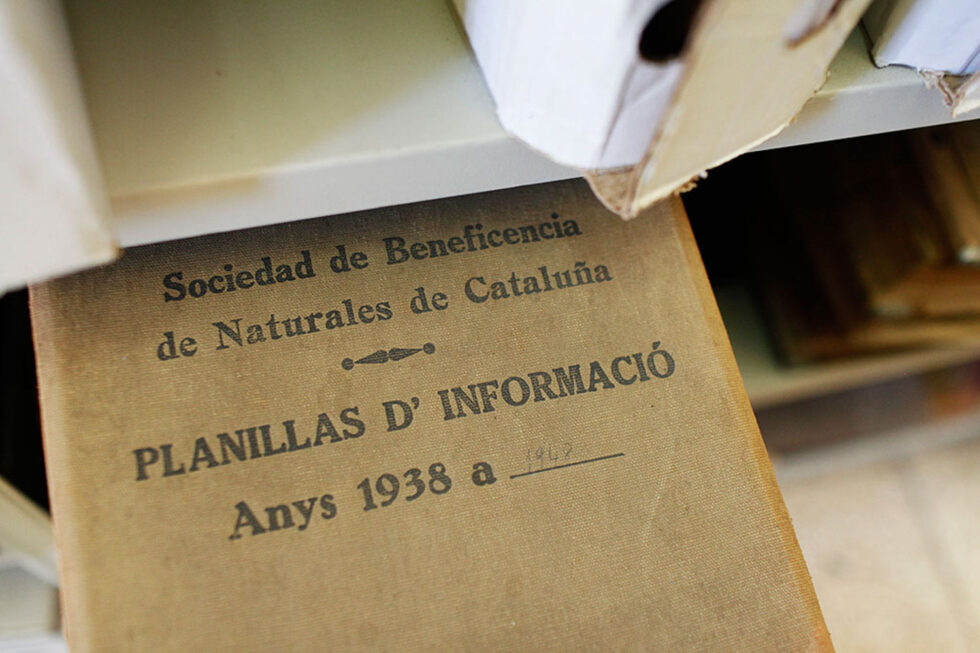 Organizaci n De La Documentaci n De La Emigraci n Catalana El Archivo Organizaci n De La Documentaci n De La Emigraci n Catalana El Archivo